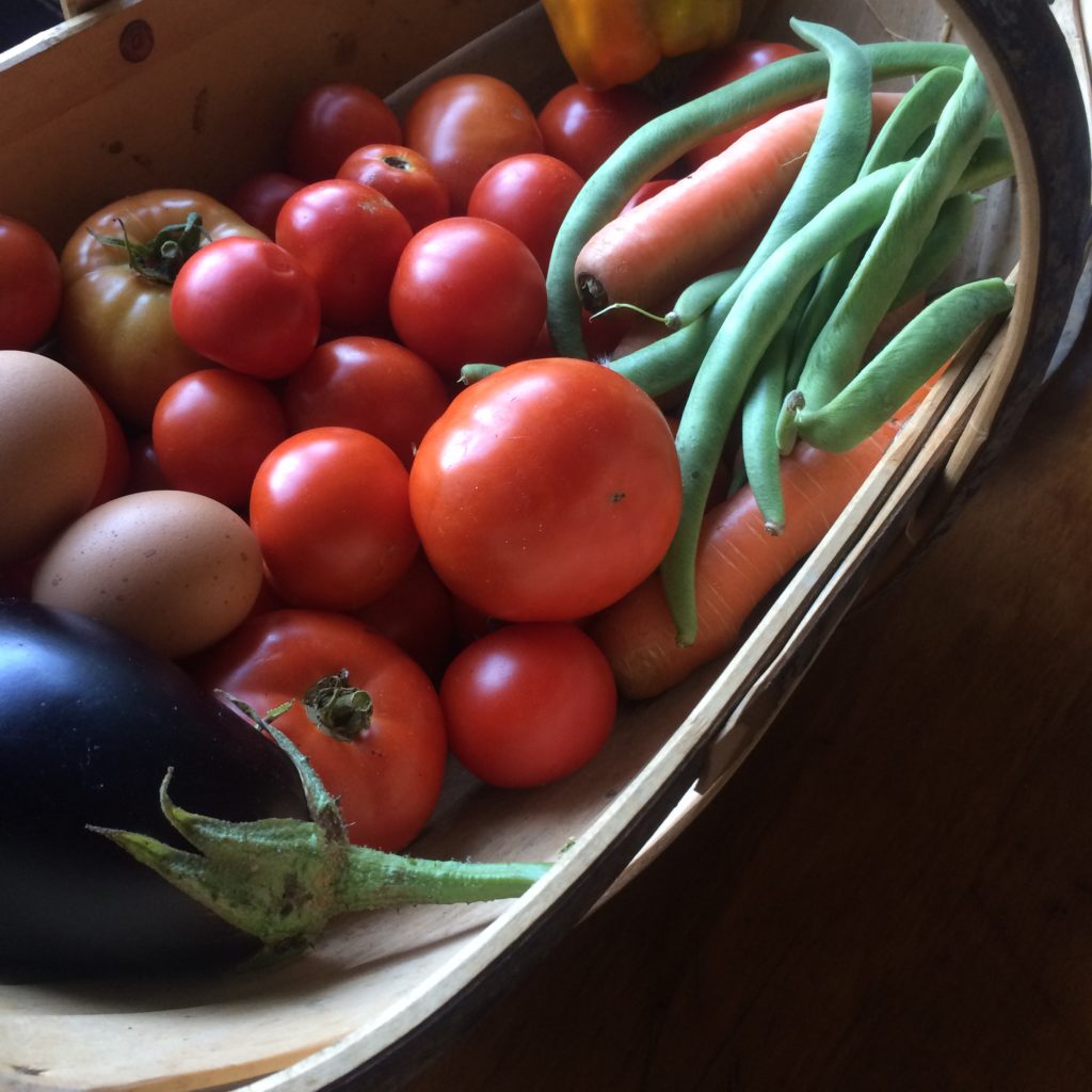 Tradtional Sussex Trug – The Trug Maker